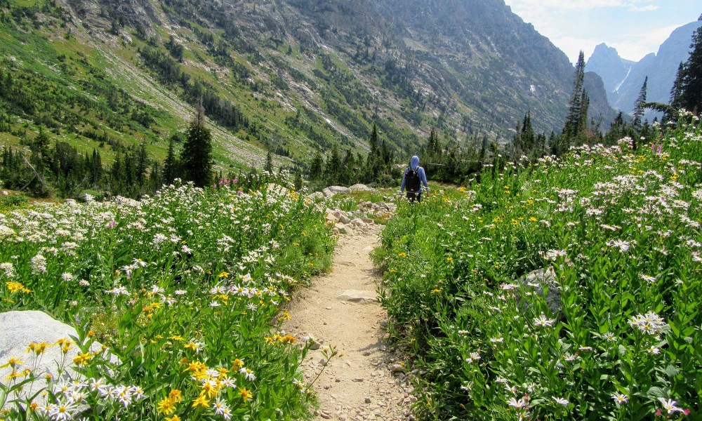 Hiking and Trekking Trails: Discovering Scenic Trails and National ...